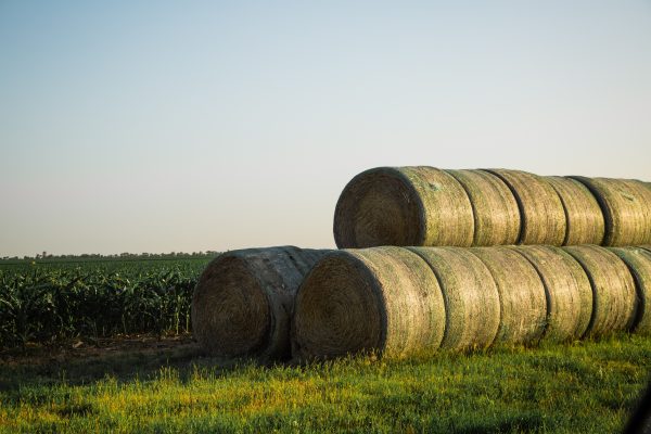 Home - State Bank of Canton